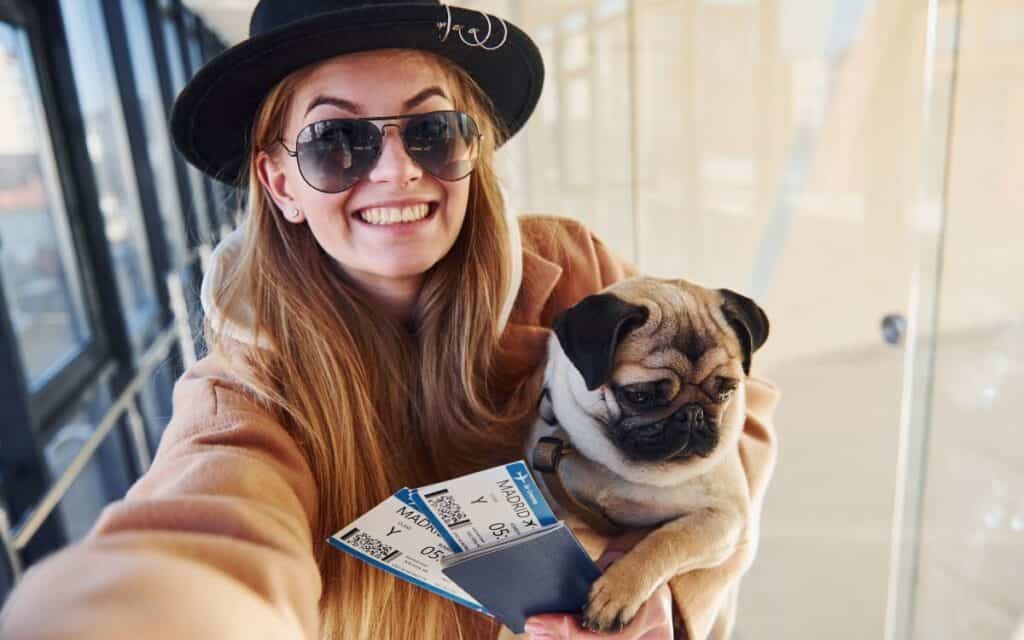 Private Jet Charter With Pets 2026: Top 5 Pet-Friendly Operators + Cost ...